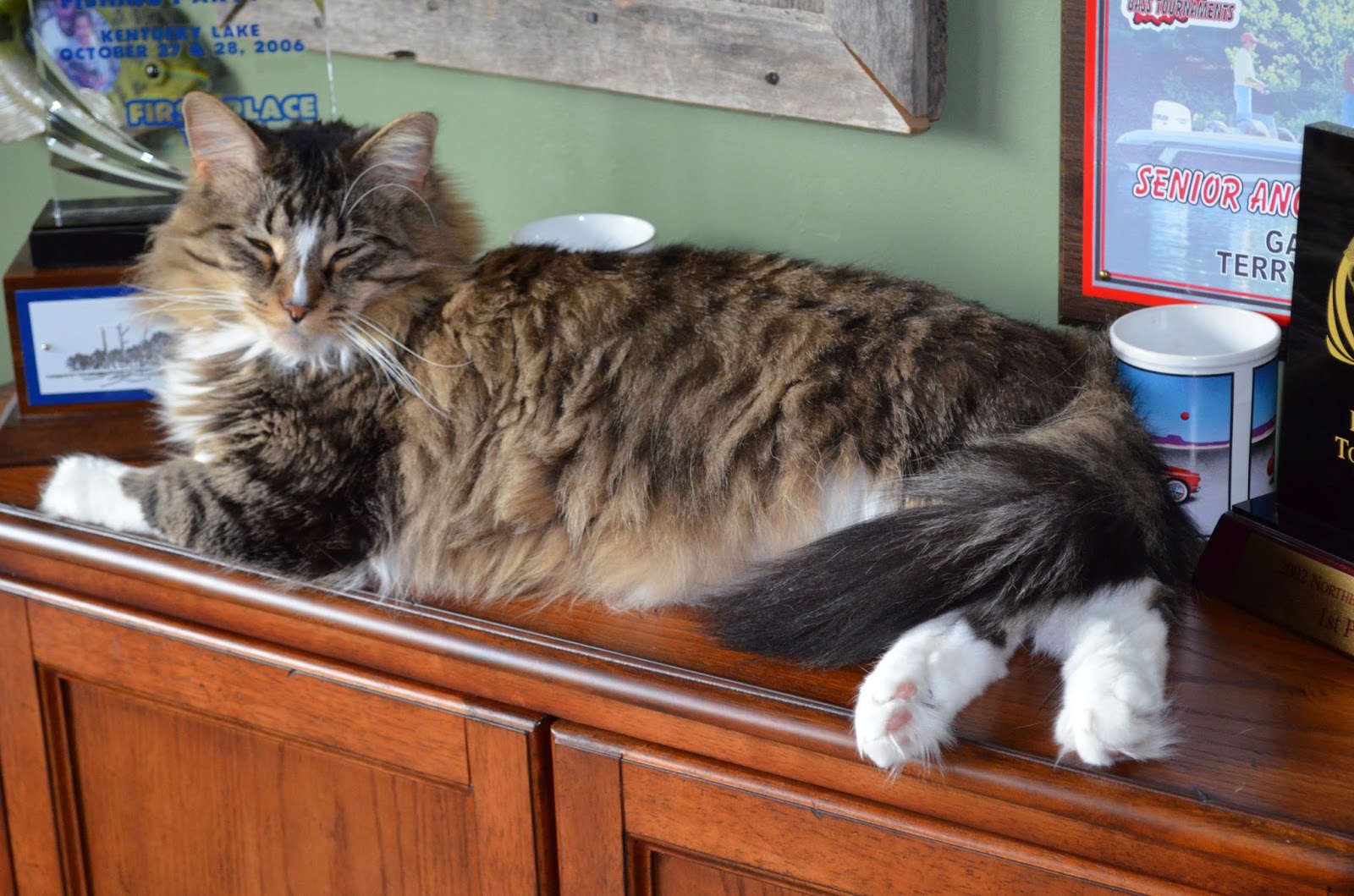 A Daily Transcendent Journey