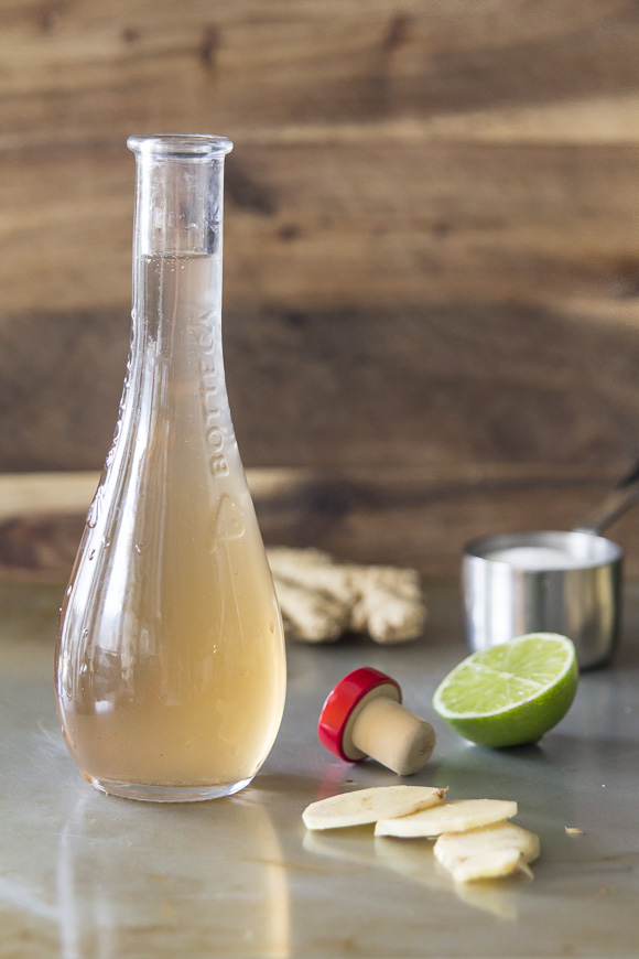 ¿Andas malhumorado? Prepara tu propio Ginger Ale - el gato goloso