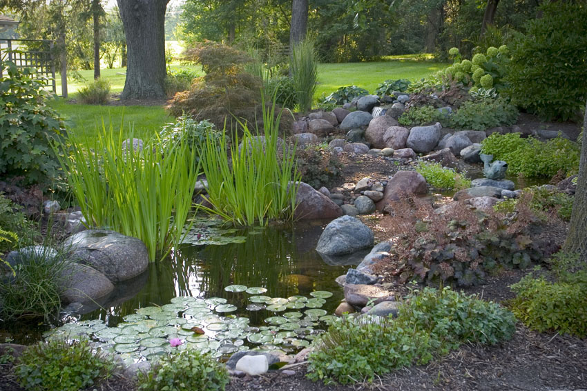 Aquascape Your Landscape: Backyard Oasis: From Drab to Fab