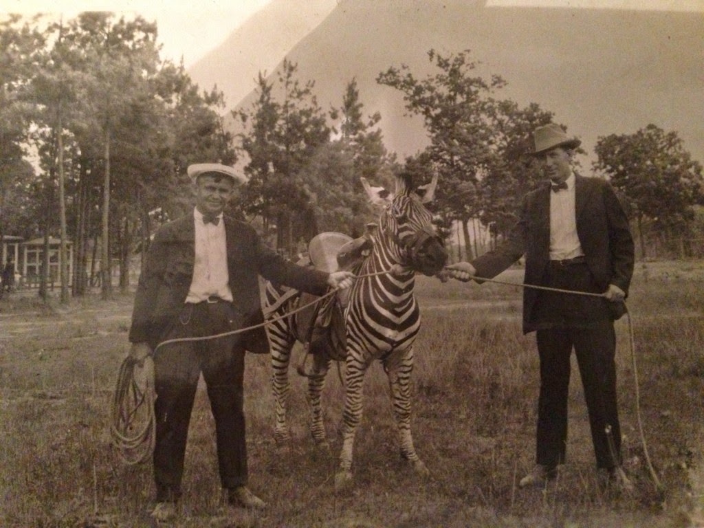 Theresa's Haunted History of the Tri-State: Houston's Haunted Zoo