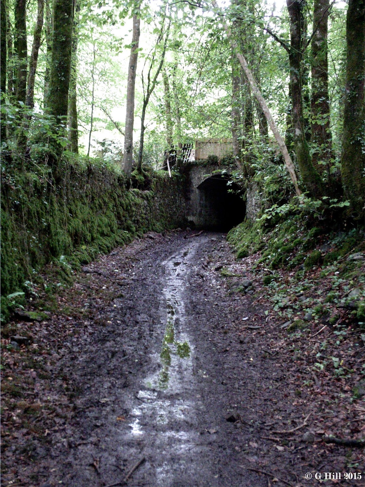 Ireland In Ruins: Moore Hall Co Mayo