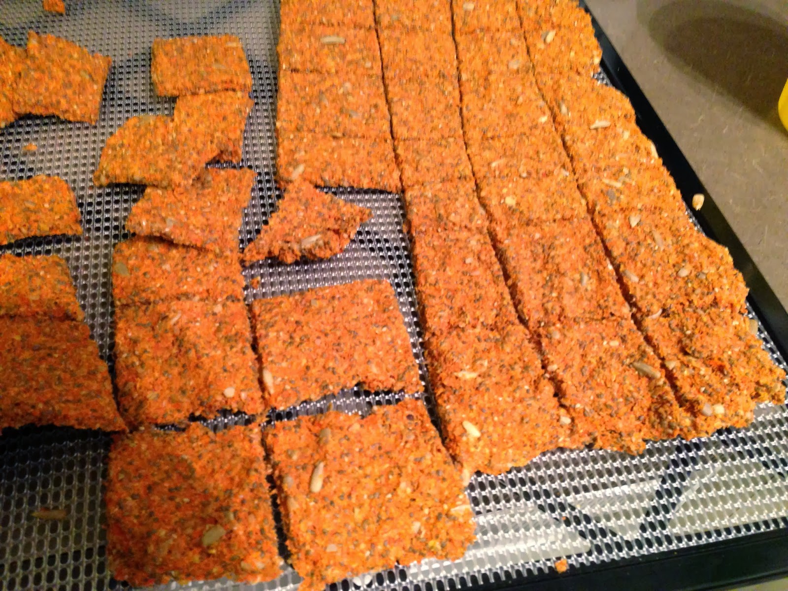 The Vegan Hucklebuck: Raw Vegan Carrot Pulp Crackers