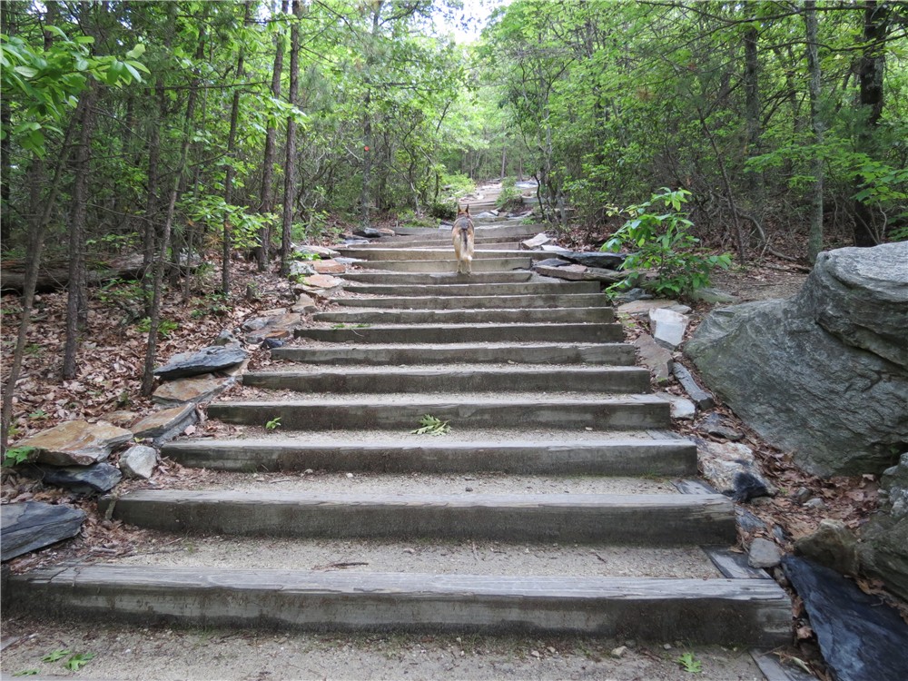 Gone Hikin': Hanging Rock State Park, NC