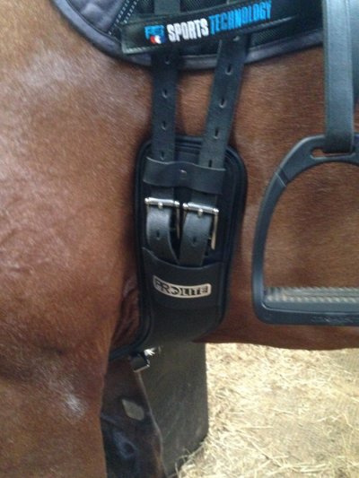 KB Equestrian: Product Review - Prolite Girth