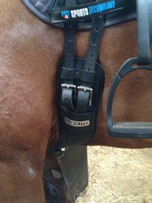 KB Equestrian: Product Review - Prolite Girth