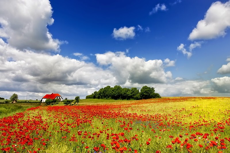 Descubre Polonia : El clima
