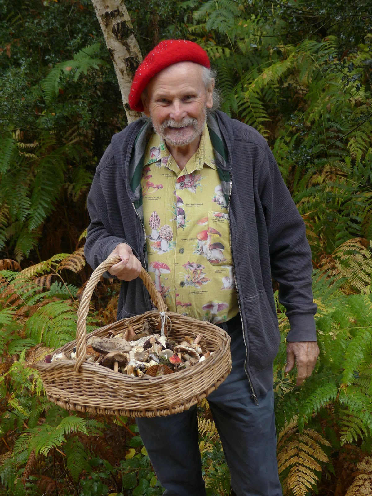 The Outdoor Traditionalist : Roger Phillips Mushroom Foray
