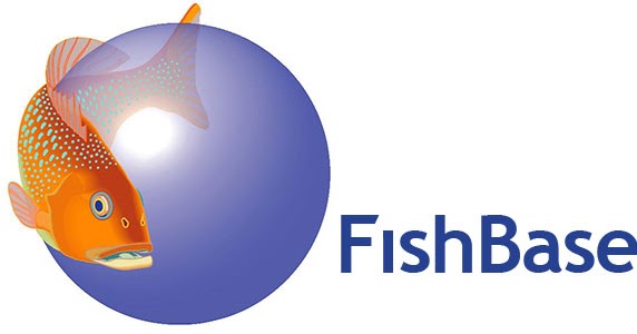 El robalo: Lo quieres saber todo de peces: FishBase