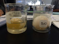 Ranna's Biology Blog: Egg Diffusion Lab