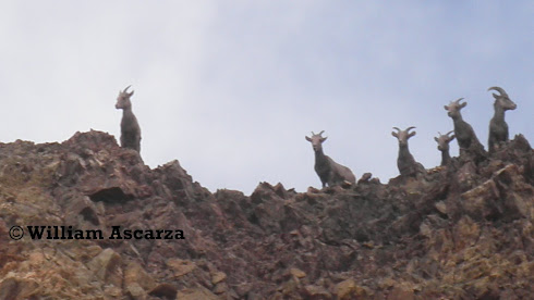 Arizona Mining History