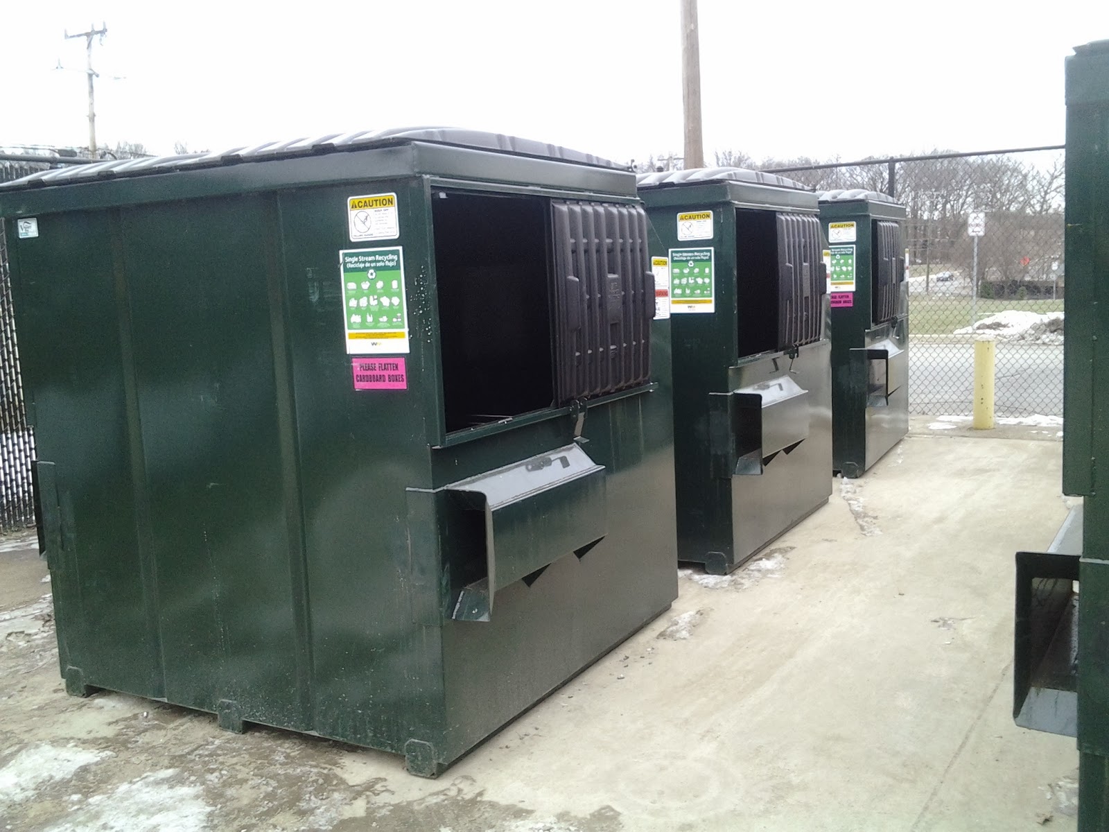 My Wild and Wacky Wednesday | Loudoun County Limbo