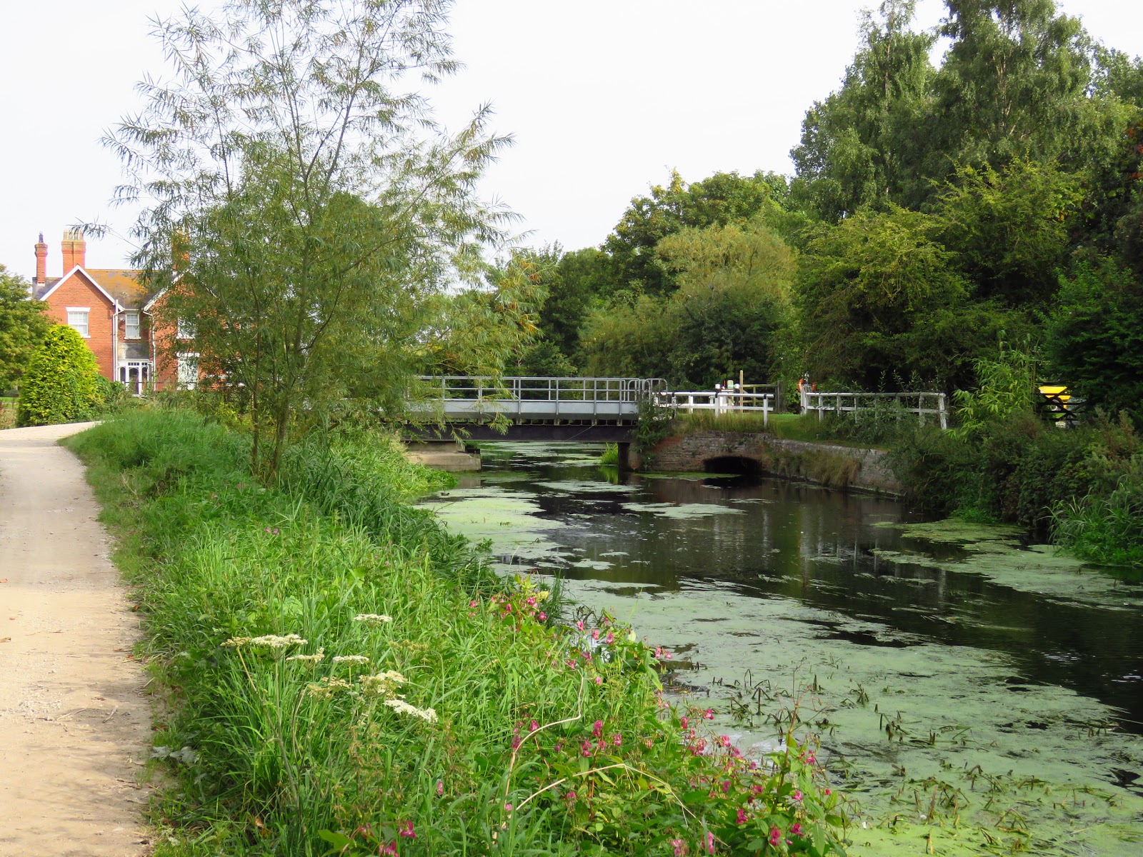 Wild at Hull: River Hull. Stage 13. Brigham and North Frodingham Beck