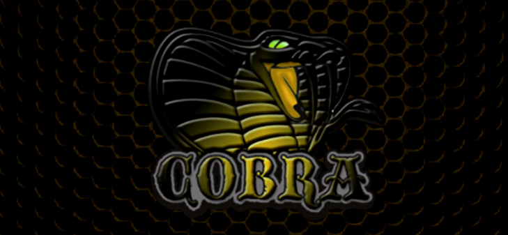 PS3 COBRA 7.52 Homebrew Blocker for PSN & more - Consoleinfo