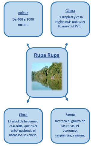 HACIA UN PERÚ MEJOR!! : REGIONES Y ECORREGIONES DEL PERÚ