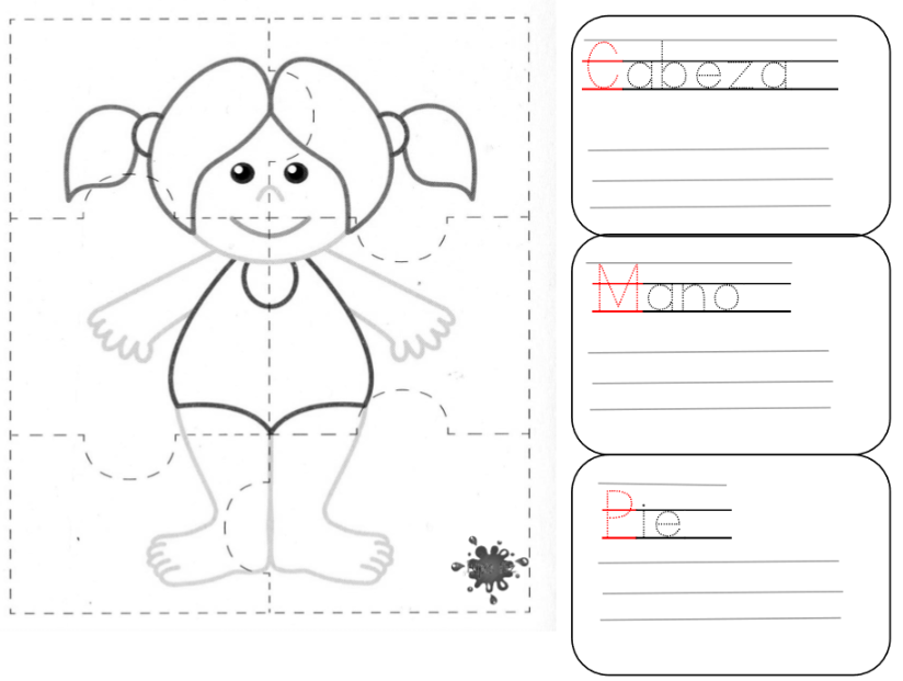Puzzle,las partes del cuerpo