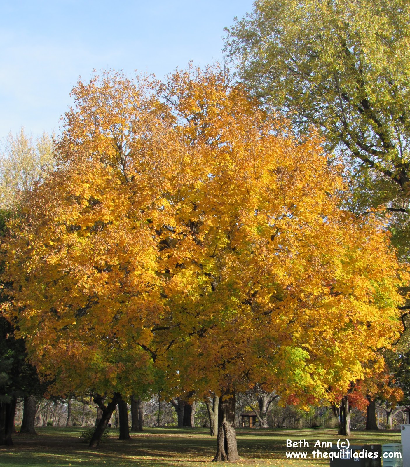 Beth Strub 52 Weeks Photo Project