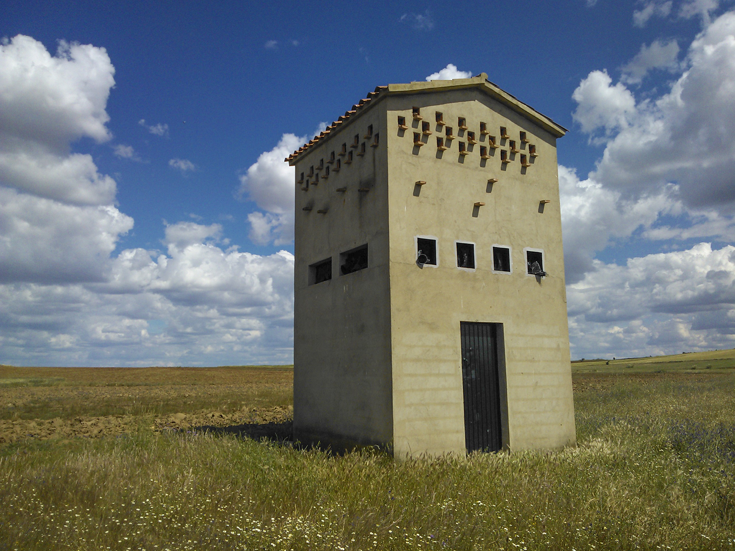 Iñigo Jimenez Baños: Fotografiando en el primillar