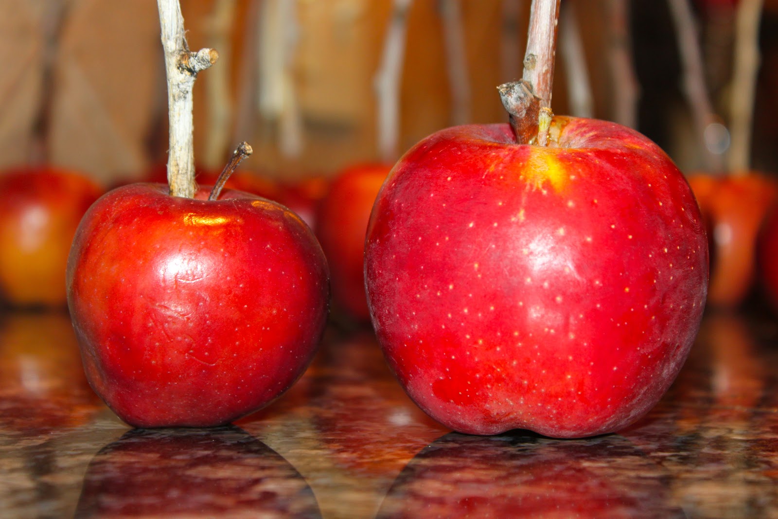 love is in the details: Candied apples on a stick.