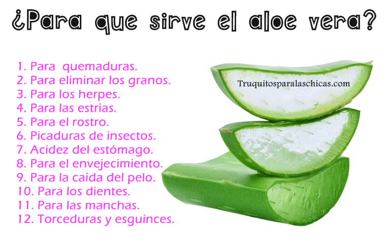 Para que sirve el aloe vera y como utilizarlo - Blog de belleza
