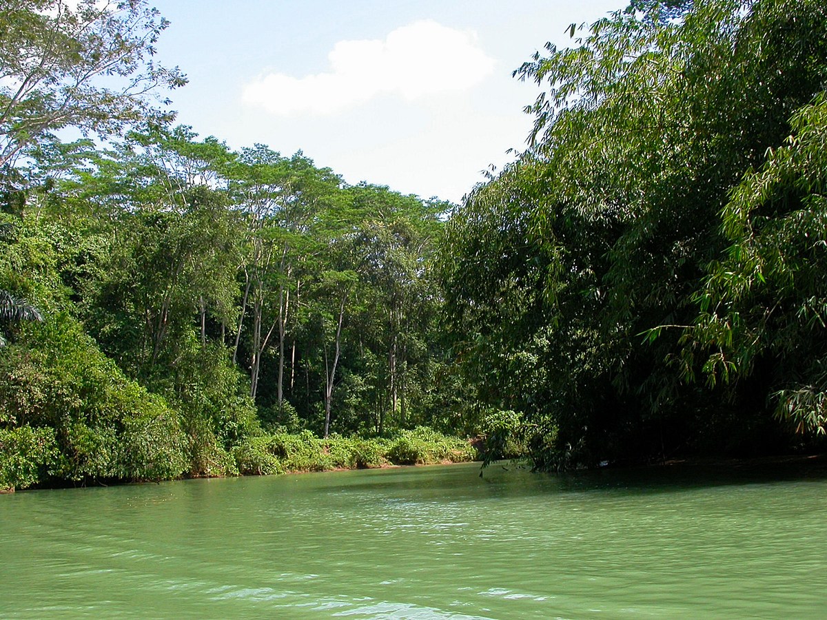 Indonésie - Java, le parc naturel de Pangandaran - Les routes de tous ...