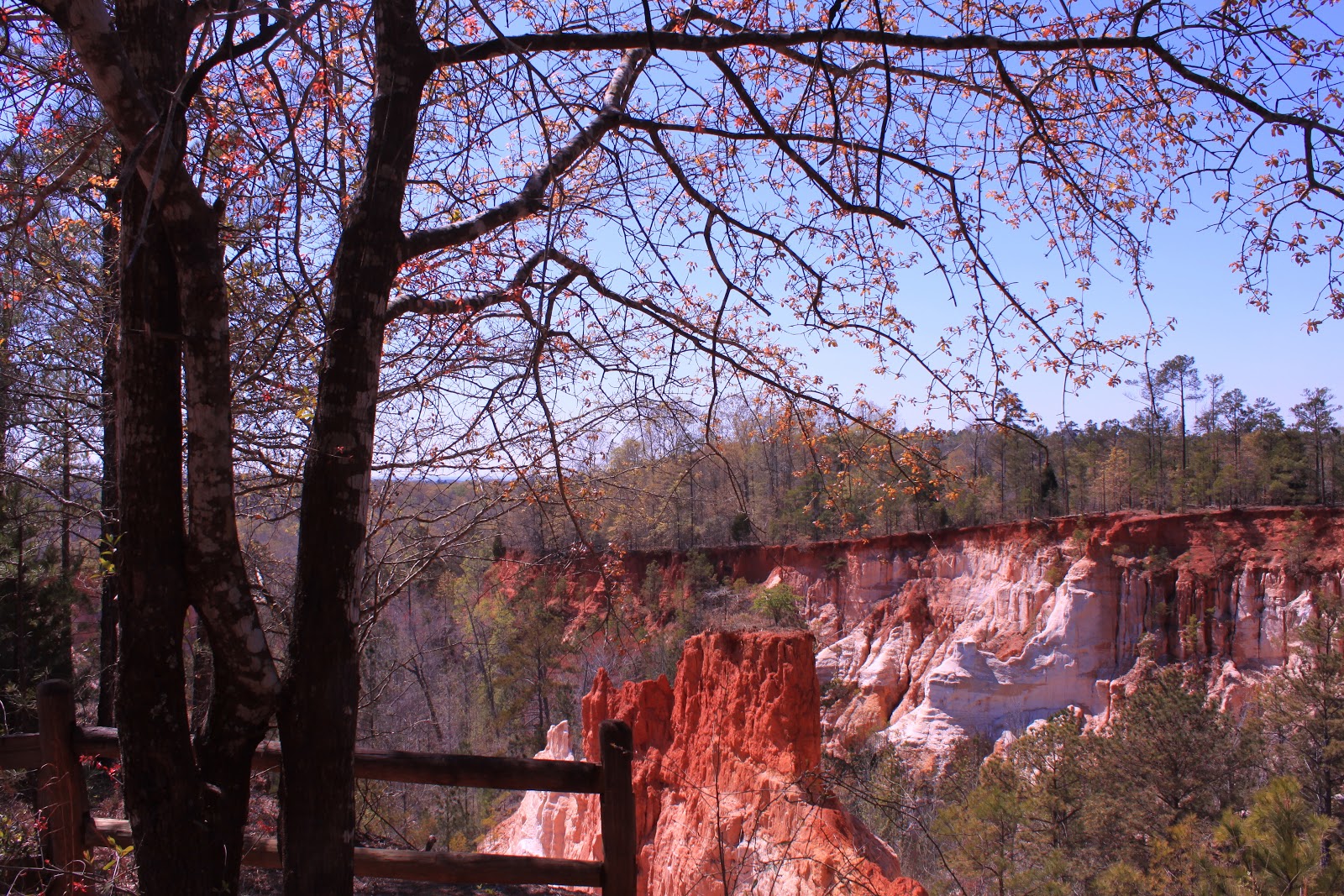 PL Fallin Photography: Spring at Providence Canyon