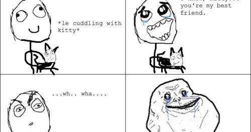 Here You will find many troll jokes.: Troll Face Kitty