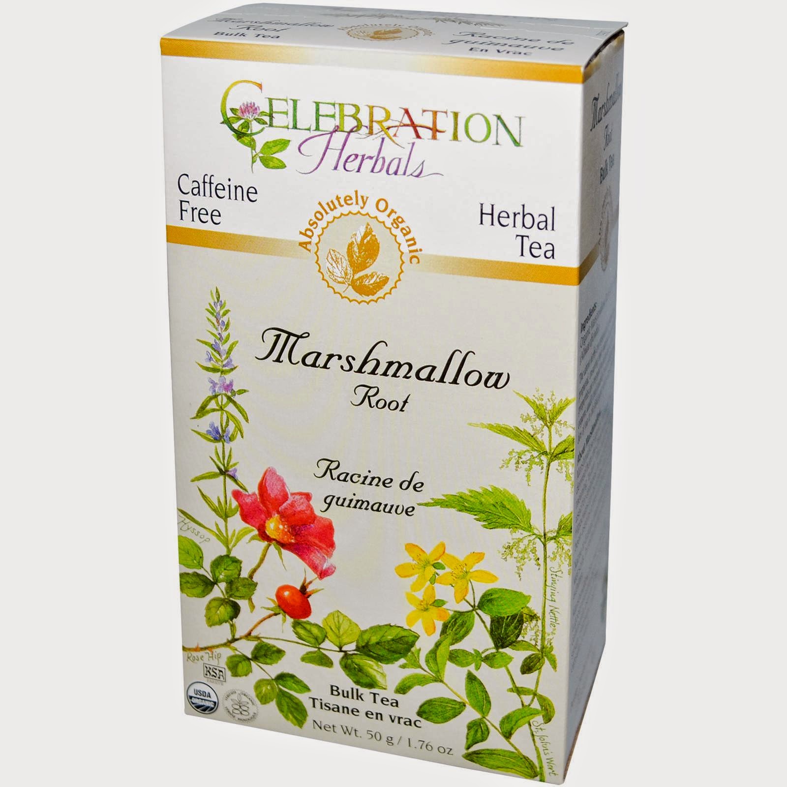 A Garden of Antietam