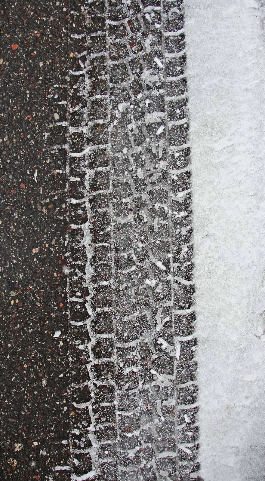 Picture Perfect: Lines in Nature