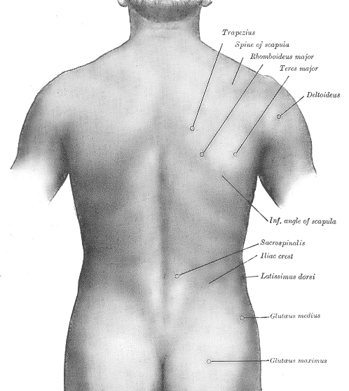 Yoga Better Than Injections For Low Back Pain Health For Yoga yoga-better-than-injections-for-low-back-pain-health-for-yoga
