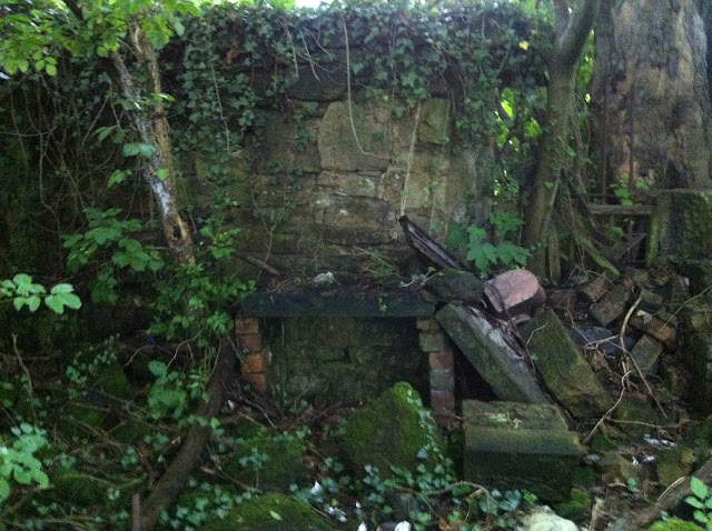 Visions of a Madman: In Ruins: Abandoned Houses in Carmyle