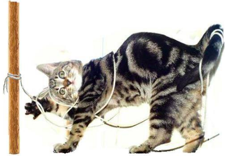 Our Lady of Mount Carmel, Mill Valley: The Ashram Cat (Anthony de Mello)