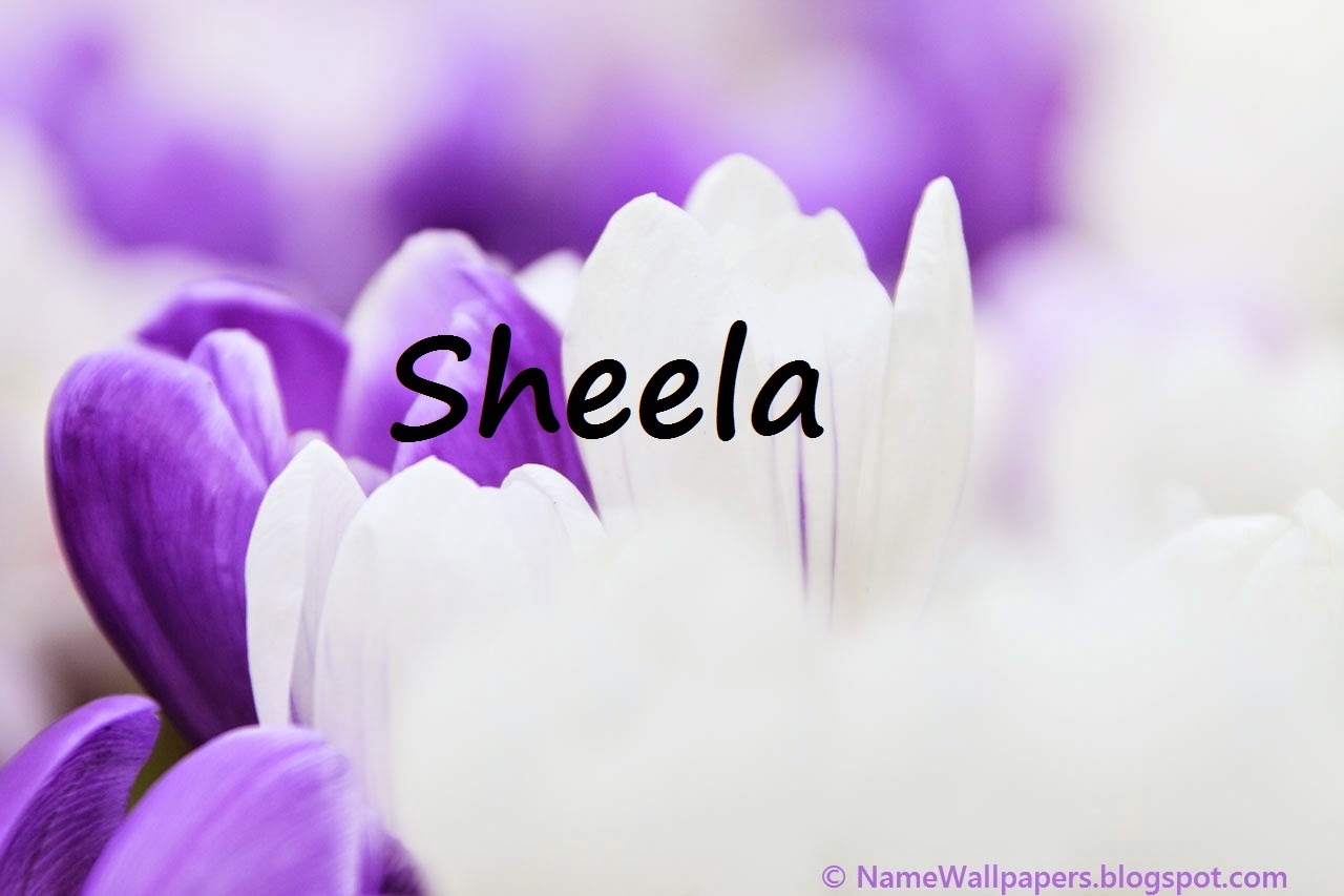 Sheela Name Wallpapers Sheela ~ Name Wallpaper Urdu Name Meaning Name ...