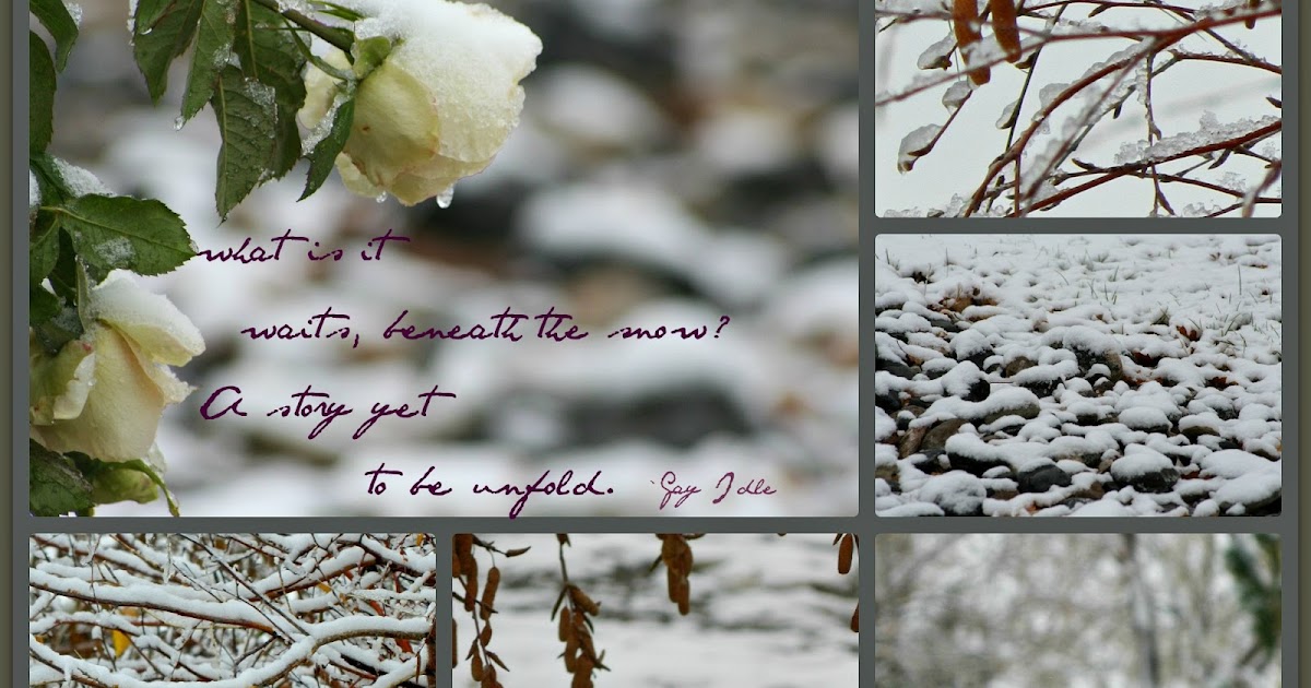 Captive Heart: Hope Awaits...A Story Yet To Be Unfold