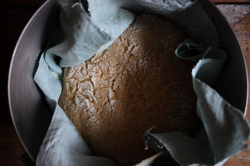 Girl Meets Rye : Pane Siciliano (and A New Michette)