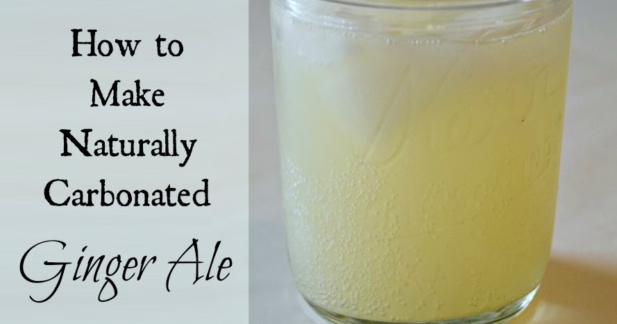 Make Your Own Naturally-Carbonated Ginger Ale - Oak Hill Homestead