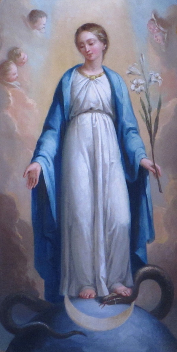 A VIRGEM IMACULADA E A MEDALHA MILAGROSA: A Virgem Imaculada e a ...