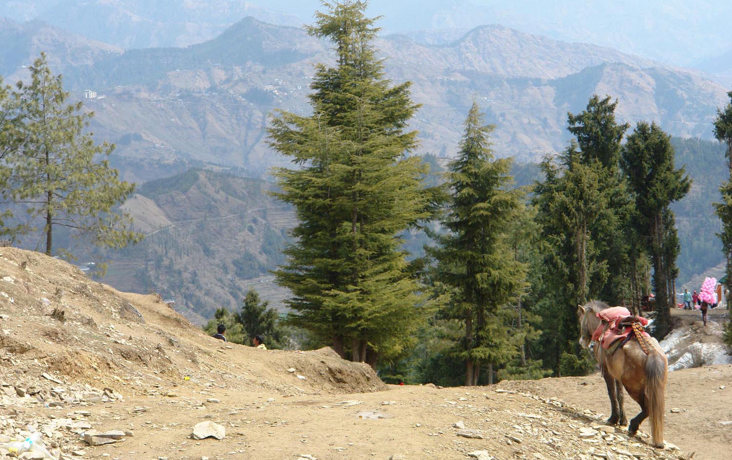 photographer: trip to simla