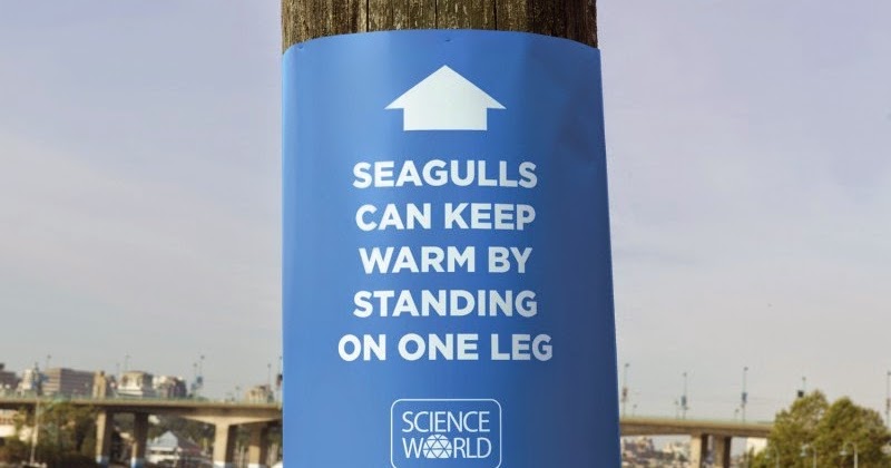 Science World Ads