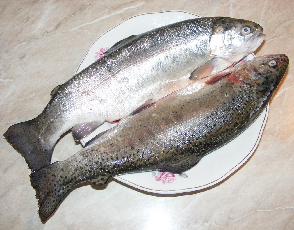 Pastrav la gratar | Retete Culinare Preparatedevis.ro