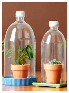 Mi Sala Amarilla: Los estados del agua: Secuencia didáctica y experimentos