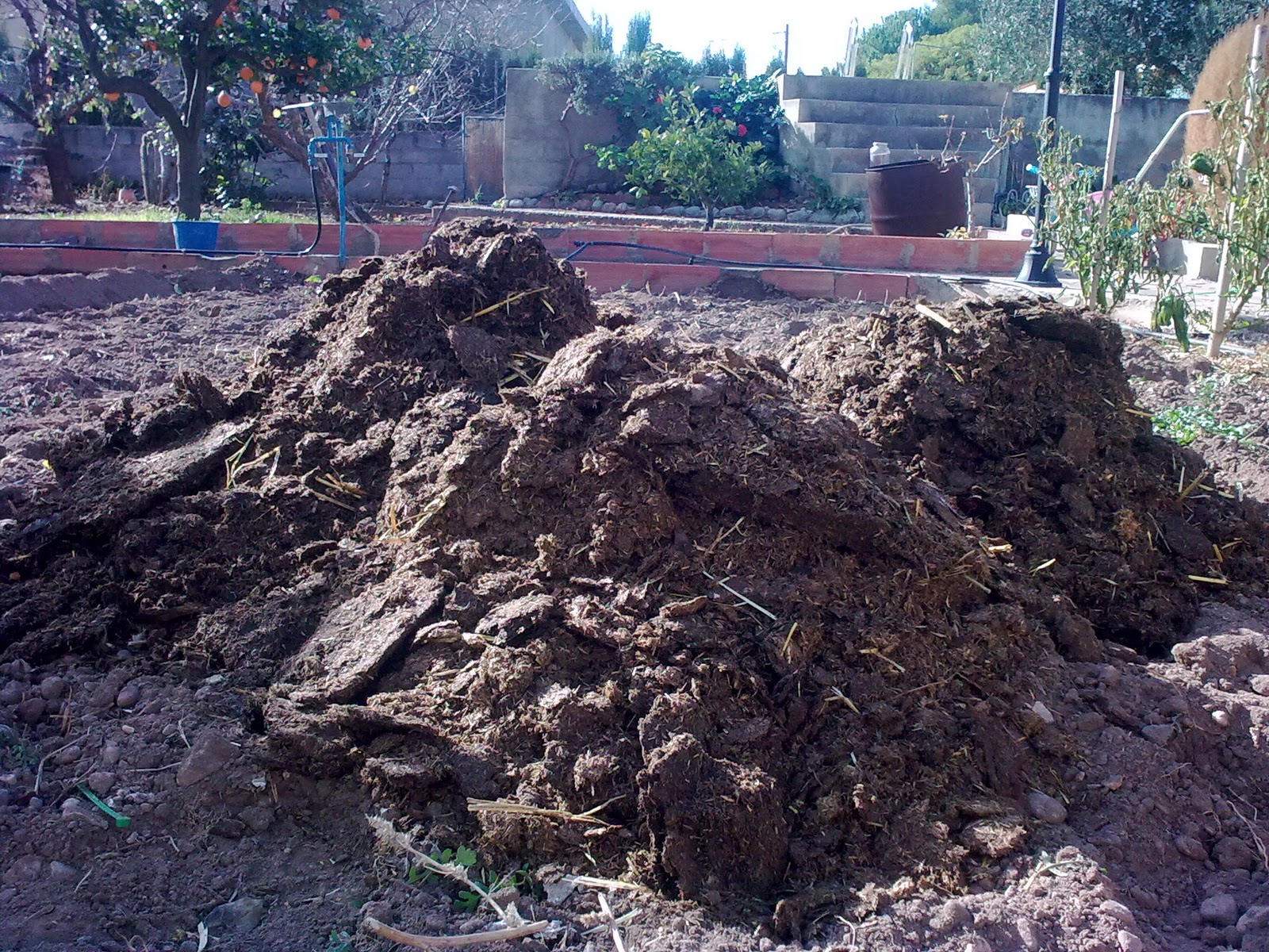 Abonos y fertilizantes orgánicos: Tipos de Abonos orgánicos