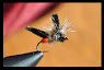 Driftless Creations Fly Tying: How to tie : Baby Brook Trout streamer ...