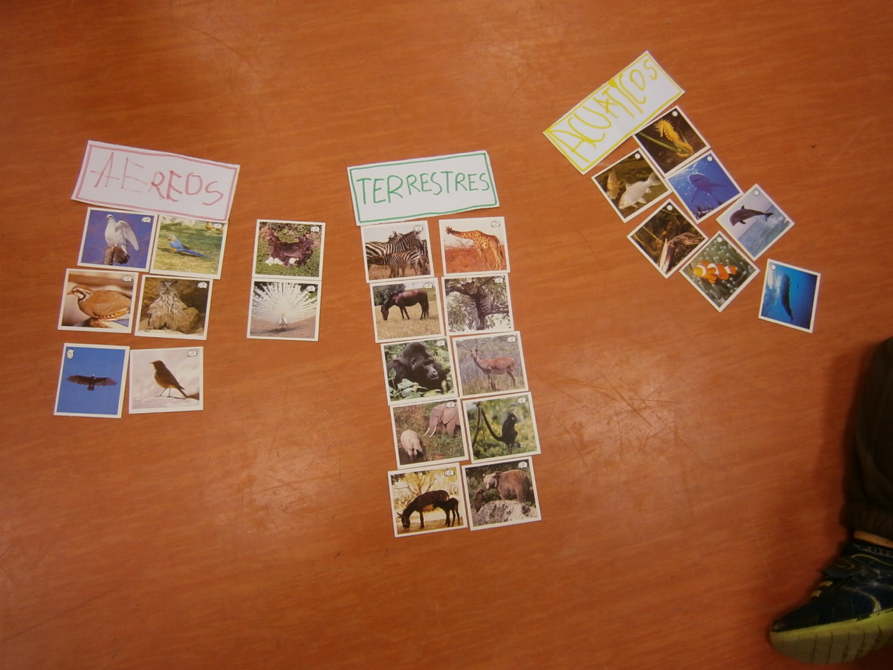 LA CLASE DE MIREN: mis experiencias en el aula: PROYECTO DE MONOS ...