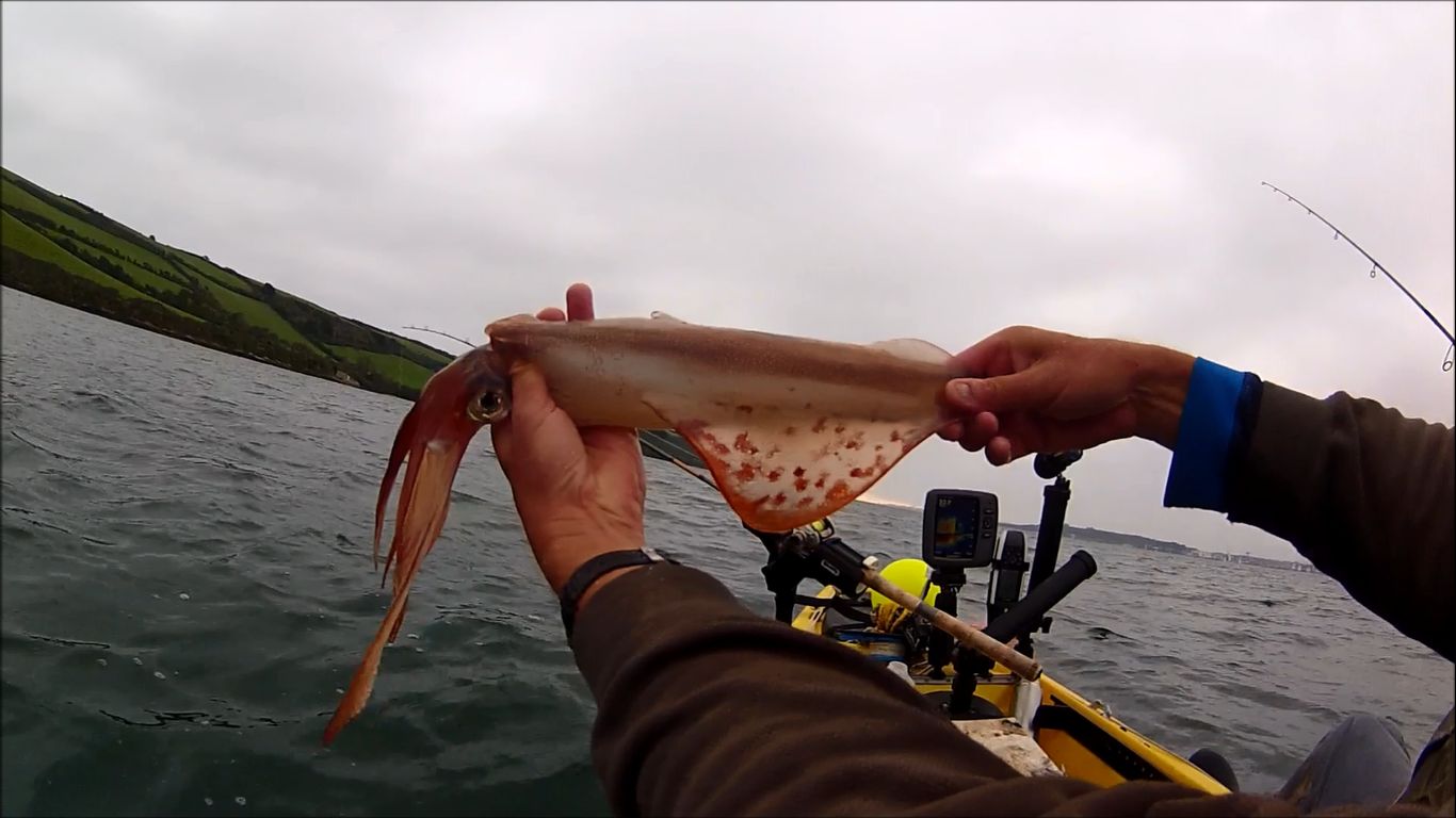 Cornish Shore and Kayak Fisherman: Kayak Fishing - Fishing with Bait ...