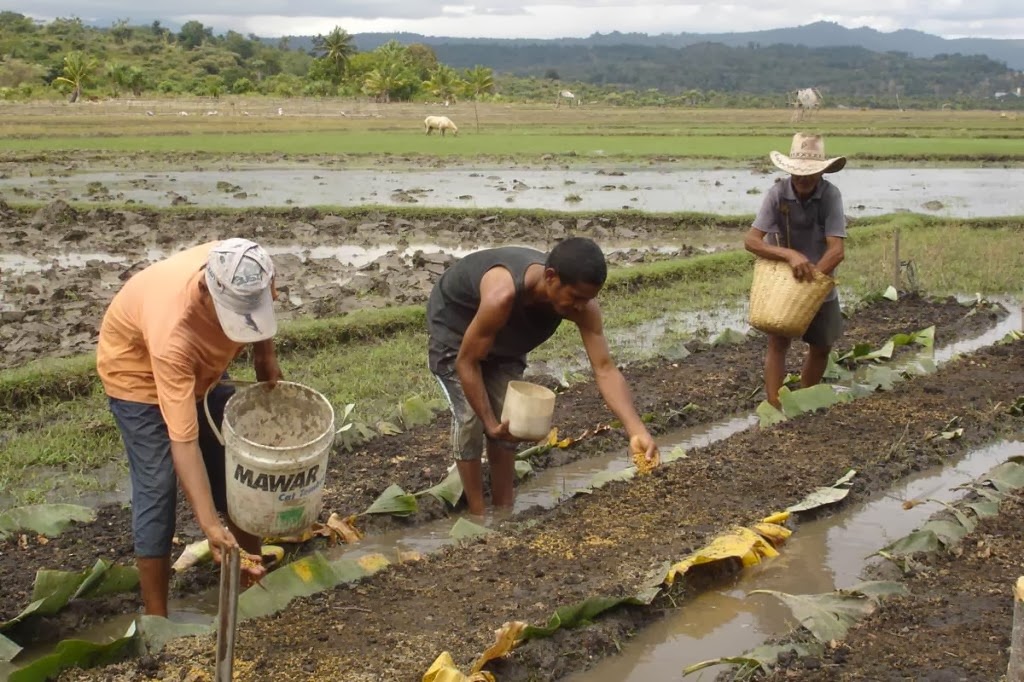 EXPLORE THE WORLD: The Democratic Republic of East Timor; a Country in ...
