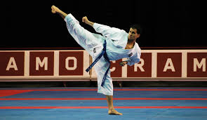 Stiluri de karate