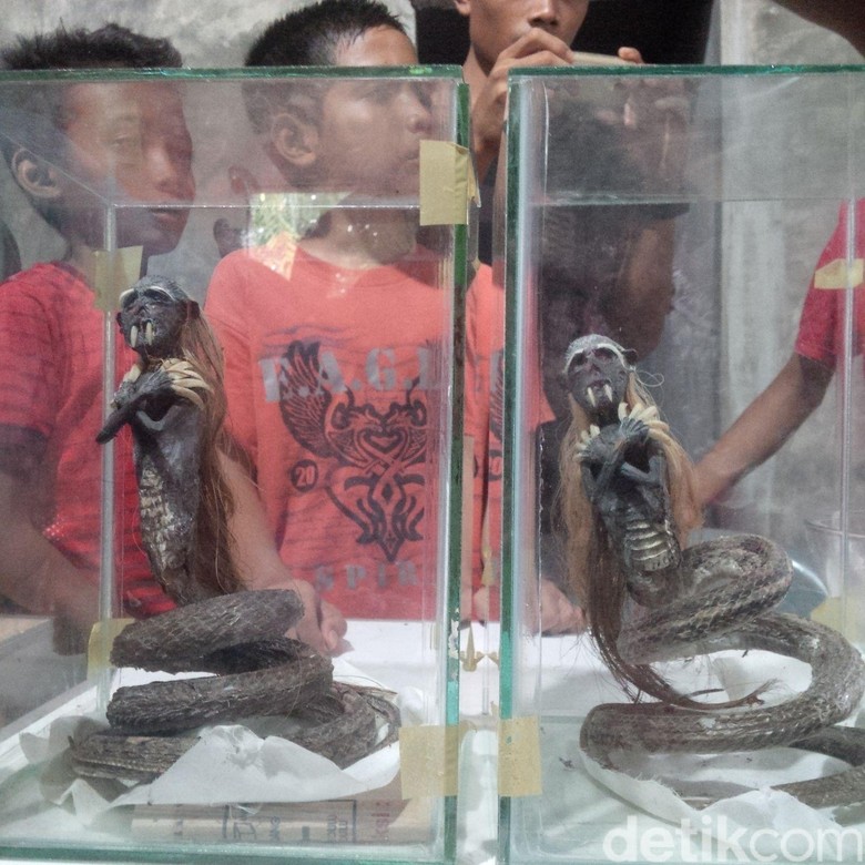 The Unique News: Unique and Weird News, A Guy Found "Jenglot" and huge ...