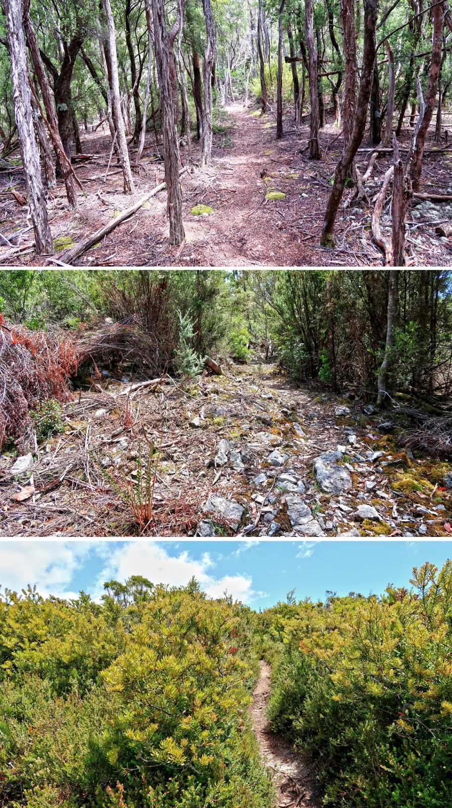 Mountains: Mt Roland, Mt Vandyke, Mt Claude Lookout, Tas, Australia