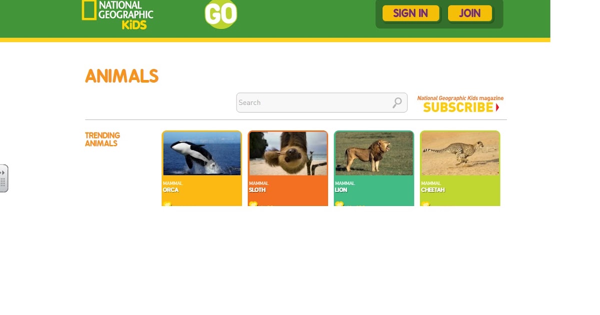 Let's learn English!: PRIMARY 3. ANIMALS!