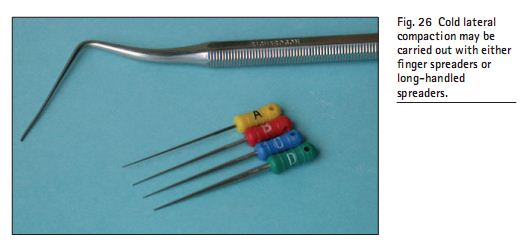 Endodontic: Root canal filling instruments